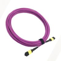 China 12 Core OM4 Lszh Patch Cable , SENKO Female Mpo Patch Cord Purple Color for sale