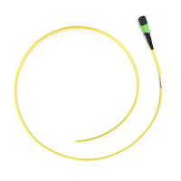 China 8F MPO / APC Fiber Optic Pigtail Splicing , Single Mode LSZH Patch Cord Pigtail for sale