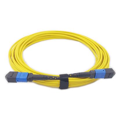 China Data Center Cabling Mpo To Mpo Cable , QSFP module Lszh Patch Cord for sale