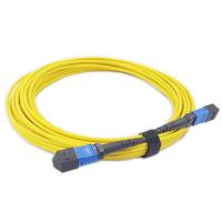 China Data Center Cabling Mpo To Mpo Cable , QSFP module Lszh Patch Cord for sale