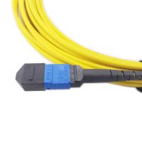 China Data Center Cabling Mpo To Mpo Cable , QSFP module Lszh Patch Cord for sale