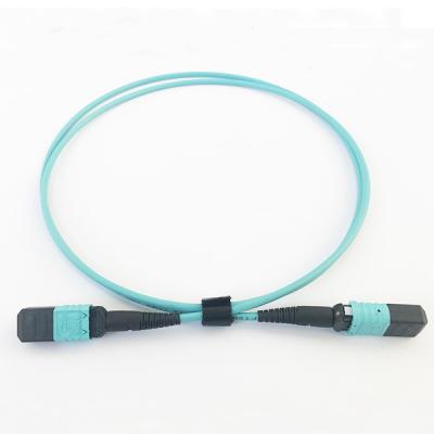 China Nissin Om3 MPO Patch Cable 8 Cores Crush Resistance For Telecommunication Network for sale