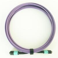China 12 Cores MPO Patch Cable OM4 50/125μM 3.0mm LSZH Purple For Data Center Cabling for sale