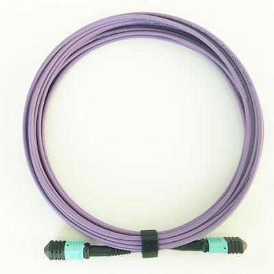 China 12 Cores MPO Patch Cable OM4 50/125μM 3.0mm LSZH Purple For Data Center Cabling for sale