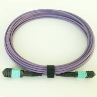 China 12 Cores MPO Patch Cable OM4 50/125μM 3.0mm LSZH Purple For Data Center Cabling for sale