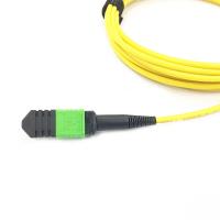 China 12F MPO To MPO Single Mode Patch Cord , Loss MPO Fiber Optic Patch Cord 3M Standard for sale