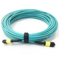 China 12 Core MPO Patch Cable for sale
