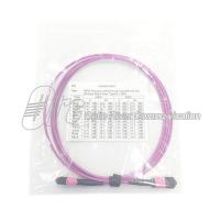 China 40G 100G OM4 MPO TO MPO Optical Jumper Patch Cord 12 Core for sale