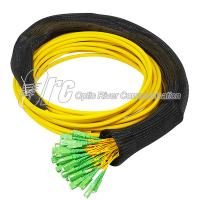 China 48F Single Mode Fiber Optic Pigtail LSZH SC/APC Connectors for sale