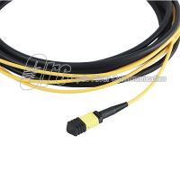 China 12 Fibers LSZH Single Mode 4.5mm MPO Patch Cord for sale