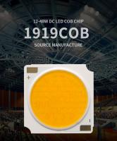 China 1917 COB LED Chip 20W 4000K Natural White 2100-2300lm 44-46V 105lm/W Ra80 120° for Commercial Lighting for sale
