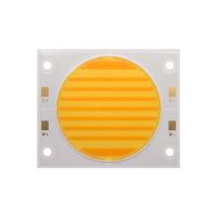 China Dual Color Cob LED 200W+200W 300W+300W 3838 5454 6050 LED COB Chip 2700K 6500K Ra98 for Photography for sale