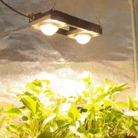 China HY 2825 COB LED High Power 100W High Brightness PPF For Plant Growth Lighting for sale