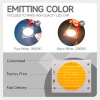 China 6050 6060 COB High Power 200W+200W High Voltage 150V Bi-Color LED CHIP for Photograph Lighting for sale