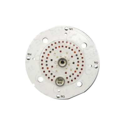 China Tunable CCT COB LED Chip 24-26V for Beauty Therapy OEM for sale
