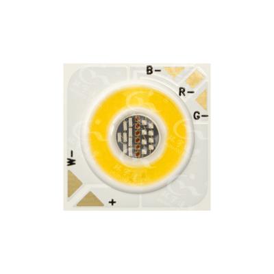 China Hot Sale 1310 Multi-Color RGBW Natural White 20W 12V LED CHIP for sale