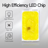 China Dual Color 5730 SMD LED Chip 660 620nm white 6500K Full Spectrum Customization Available 1W For Food fill light Meat Decoration lighting for sale