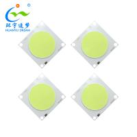 China Luring Fish COB LED Chip 22000K 54V 300W 500W High Power LED COB for sale