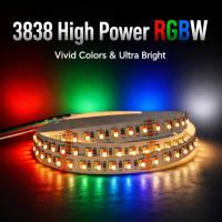 China RGBW LED Strip Light 3838 RGBW  CRI 80 120D lamp source High Density  IP66 Waterproof Dimmable LED  for Ambient Light and Landscape Lighting for sale