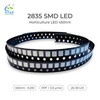 China HuanYu Dream Plant Blue 2835 450nm Blue SMD LED Chip 5-7LM for Seedling Stage LED Grow Light Panel for sale