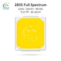 China Full Spectrum 2835 SMD LED Chip 0.5W CRI97 R9 95 TLCI99 140-150lm/W for Retail Display Medical Lamp for sale