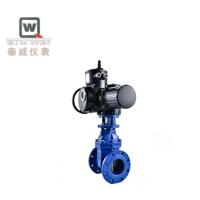 China 110V 220V Electric Gate Valve Automatic Water Shut Off Large Diameter for sale