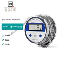 China Digital Display Industrial Thermometer Acid Alkali High Temperature for sale