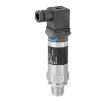 China E+H PTP31B Pressure Switch, G1/2 Brass Material, IP65 Waterproof Rating, Water Medium for sale