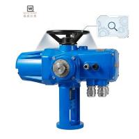 China Linear Electric Actuator 50 kN Thrust 100 mm Stroke for Globe Control Valves for sale