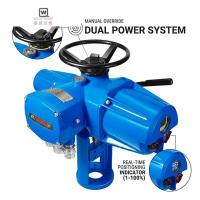 China Linear Electric Actuator 50 kN Thrust 100 mm Stroke for Globe Control Valves for sale