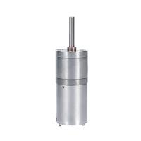 China FT-25RGM370 High Torque Gear Motor 12V 24V Mini Low Speed DC Gear motor for sale