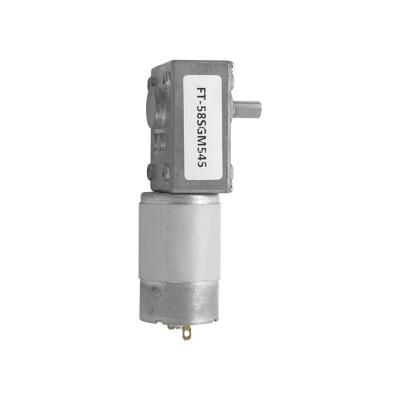 China 5V 6V Electric DC Worm Gear Motor High Torque 1-70rpm Reducer Gearbox Motor for sale