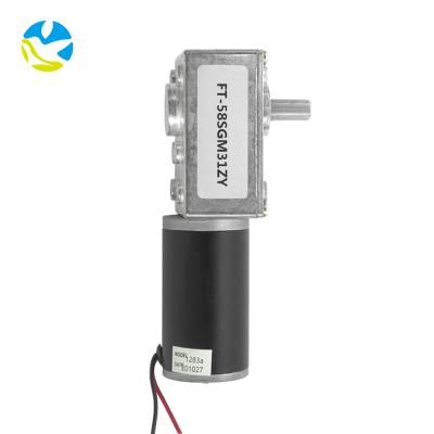 China FT-58SGM31ZY DC Worm Gear Motor 12V 24V Reducer Gear Box Motor For  Home Appliances for sale