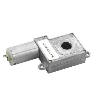 China DC 6V/12V/24V 12mm 6000rpm FT-65SGM390-B Micro Metal Motor with Gearwheel DC Motor Worm Gear Motor for DIY Toys Smart Lock for sale