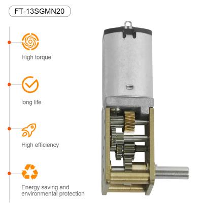 China China Factory Custom  Smart Lock Motor 6v 12v 24v  DC Worm Gear Motor for sale