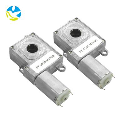 China DC Motor Manufacturer Wholesale 6V 12V 24V Micro DC Gear Motor  for Smart Equipment Home Appliance for sale