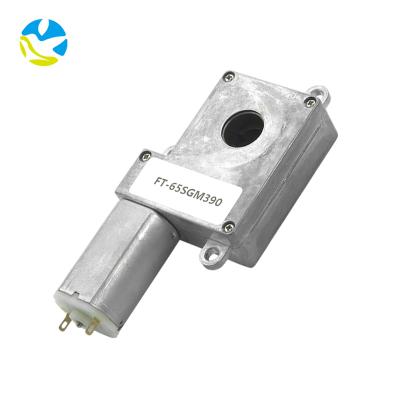 China FT-65SGM390 8v 7.4v Worm Gear Motor  for Home Appliance Smart Lock for sale
