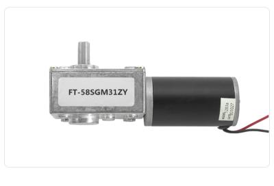 China DC 12V24V 100Kg High-torque Worm Reducer Geared Motor for sale