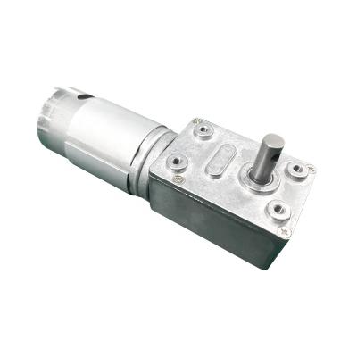 China Futeng Factory 12v24v Dc Worm Gear Motors 30w 25kg Load Tattoo Machine Motor for sale