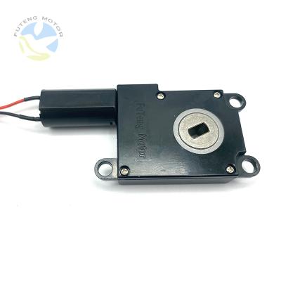 China FT-63SGM190 China Factory 3-24V DC Micro Motor Electric Worm Gear Motors Smart Door Lock Motors for sale