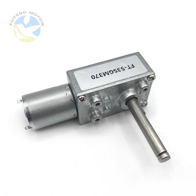 China Customized  FT-53SGM370 Self Locking Function High Torque Slow Speed 2rpm-15rpm DC  Worm Gear Motor for Automatic Cat Toilet for sale
