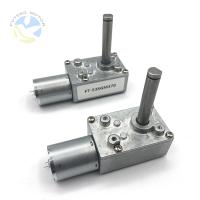 China FT-46SGM370 Slow Rpm DC Worm Gear Motor High Torque Brush Electric DC Motor for sale