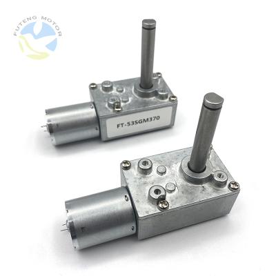 China FT-46SGM370 Slow Rpm DC Worm Gear Motor High Torque Brush Electric DC Motor for sale