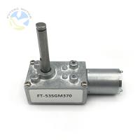China Customized Output Shaft FT-46SGM370  12V 24V  High Torque Worm Gear Motors for sale