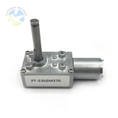 China Customized Output Shaft FT-46SGM370  12V 24V  High Torque Worm Gear Motors for sale