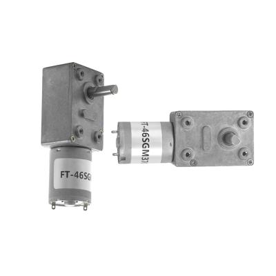 China Custom 24v Worm Gear Motor 12 Volt Reduction Gearbox DC Motor for 3D Printing Equirements for sale