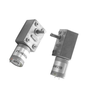 China FUTENG FT-46SGM370 12V24V DC Brushed   Worm Gear Motor for sale