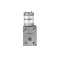 China FT-46SGM370 12v 24v  Worm Geared Motors  for Household Appliances for sale
