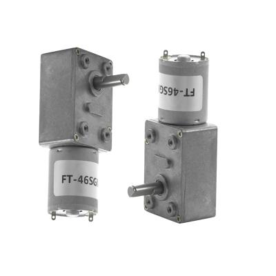 China FT-46SGM370 Dc Brush Motor 24 Volt Worm Gear Dc Motor for sale