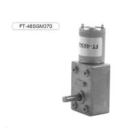 China FT-46SGM370 Worm Geared Motor 12v 24v Micro Dc Motor for Electric Daily Necessities for sale